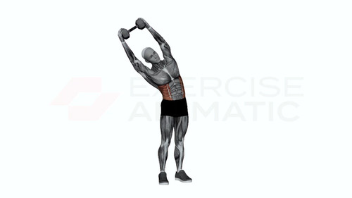 Dumbbell Overhead Side Bend | Exercise Animatic