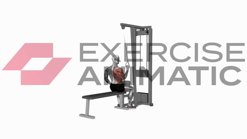 Cable one arm lat pulldown | Exercise Animatic