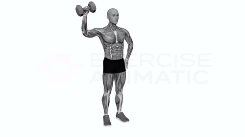 Dumbbell upright shoulder external rotation | Exercise Animatic