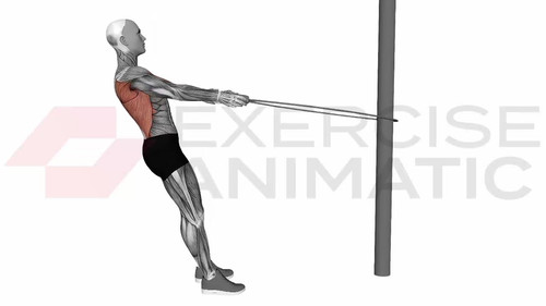 Jump Rope row | Exercise Animatic