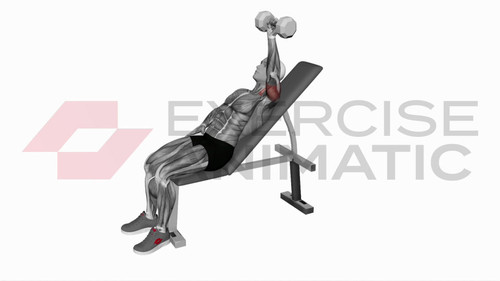 Dumbbell Incline One Arm Press | Exercise Animatic