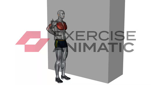 Standing one arm chest stretch | Exercise Animatic