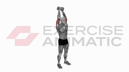 Dumbbell Standing Triceps Extension | Exercise Animatic