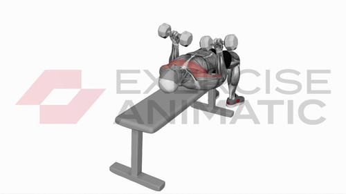 Dumbbell Lying Supine Curl | Exercise Animatic