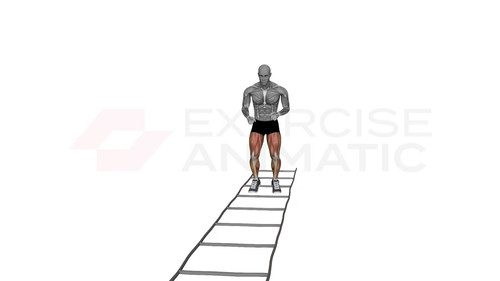 Agility Ladder In In Out Out With Knee Lift | Exercise Animatic