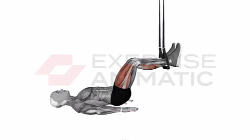 Suspension Trainer with Grips Hip Bridge | Exercise Animatic