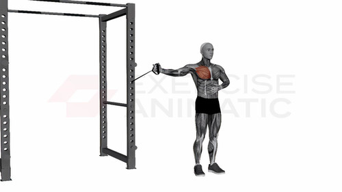 Band Single Arm Pec Fly | Exercise Animatic