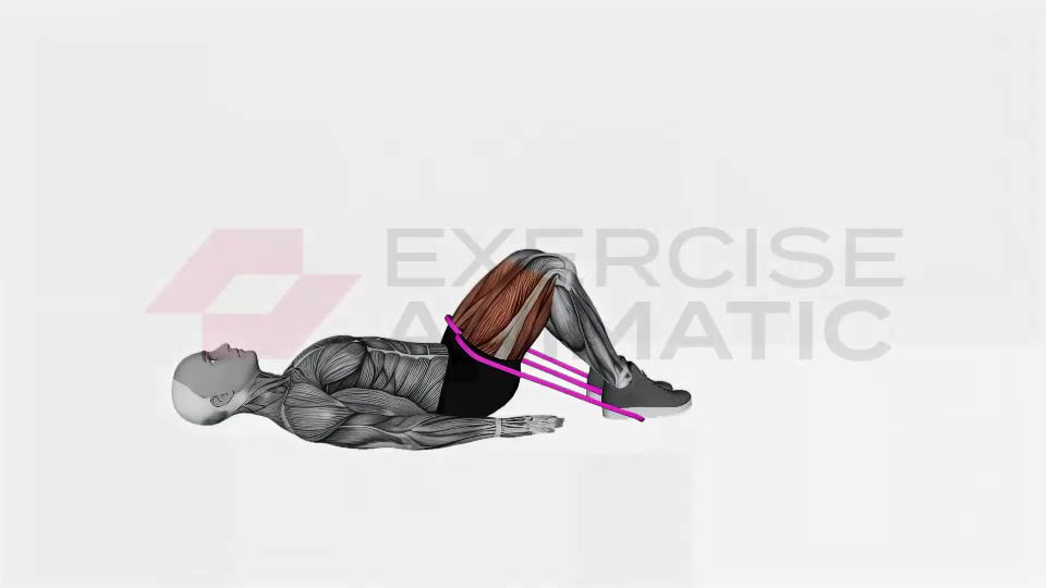 Resistance Band Hip Thrust VERSION 2 | Exercise Animatic