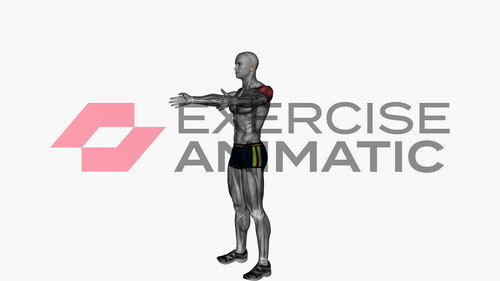 Standing Y raise | Exercise Animatic