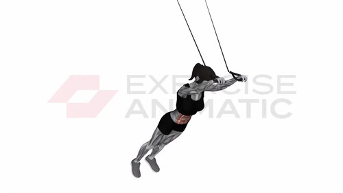 Suspension Trainer with Grips Abdominal Fallout female | Exercise Animatic