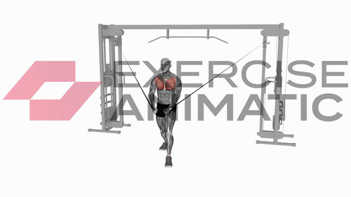 Cable Standing-Up Straight Crossovers | Exercise Animatic