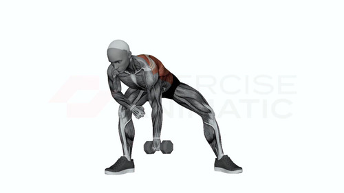 Dumbbell Knee Lawnmower Row | Exercise Animatic