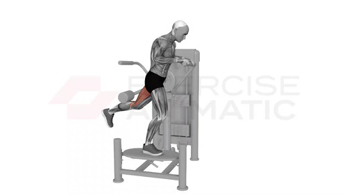 Multi Hip Glute Extension | Exercise Animatic