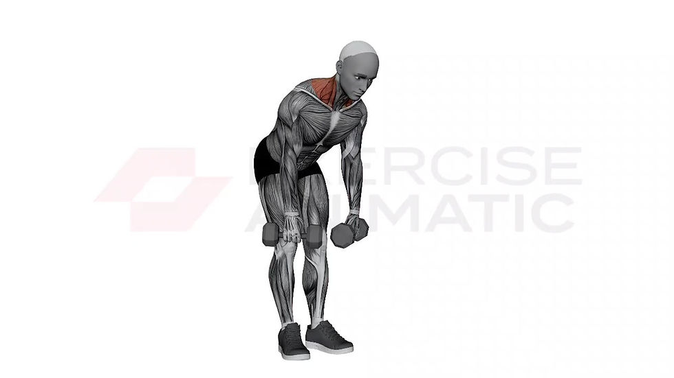 Dumbbell Silverback Shrug | Exercise Animatic