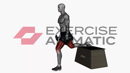 Dumbbell bulgarian box split squat | Exercise Animatic