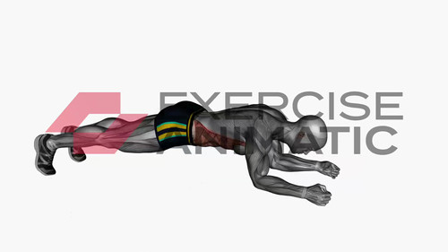 Spider plank | Exercise Animatic