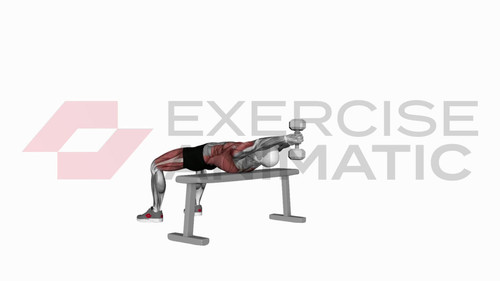 Dumbbell Pullover | Exercise Animatic
