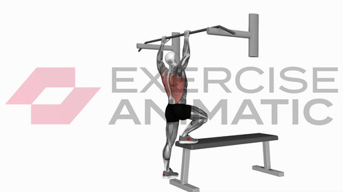 Bench Pull-ups | Exercise Animatic