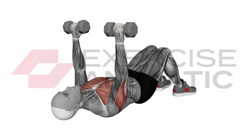 Dumbbell Lying on Floor Chest Press | Exercise Animatic