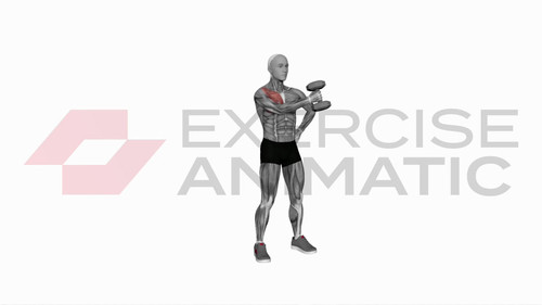 Dumbbell Standing Single Arm Cross Raise | Exercise Animatic