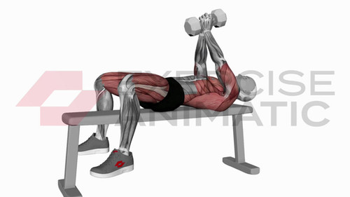 Dumbbell Pullover (VERSION 2) | Exercise Animatic