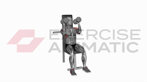 Dumbbell Seated Alternate Press | Exercise Animatic