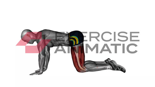 Fire hydrant bodyweight | Exercise Animatic