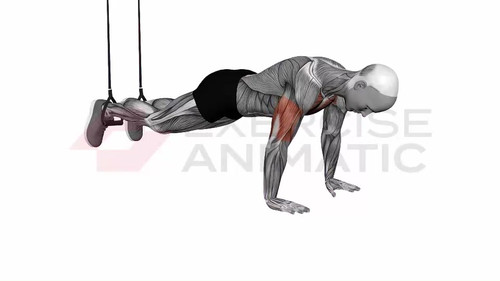 Suspension Trainer with Grips Decline Push-up | Exercise Animatic