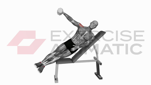 Dumbbell Incline One Arm Lateral Raise | Exercise Animatic