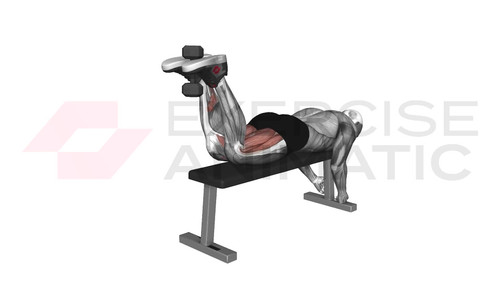 Dumbbell Lying Hamstring curl on bench | Exercise Animatic