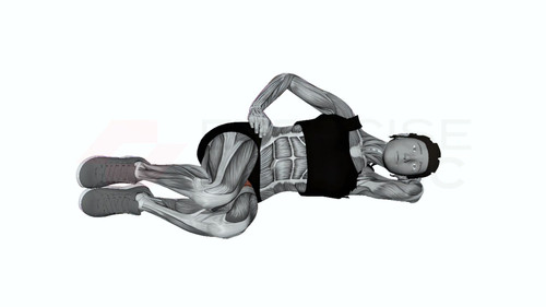 Clamshell Female | Exercise Animatic