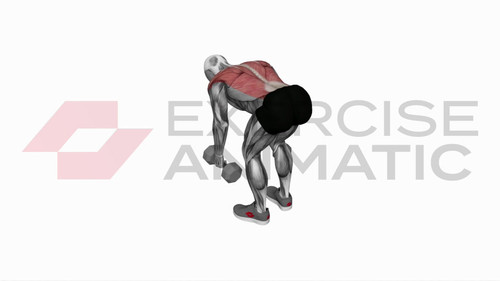 Dumbbell Bent-Over Row | Exercise Animatic