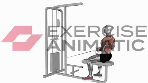 Cable seated row | Exercise Animatic