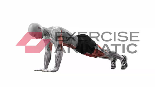 Alternate arm leg plank | Exercise Animatic