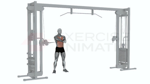 Cable Core Palloff Press | Exercise Animatic