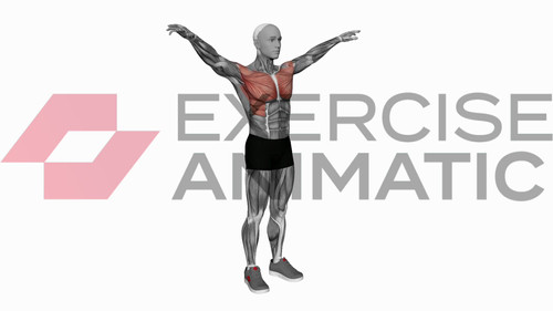 Arm circles backwards | Exercise Animatic