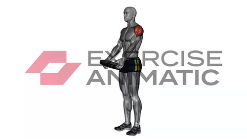 Plate front raise | Exercise Animatic