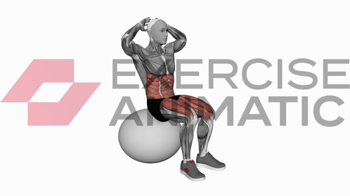 Exercise ball sit ups | Exercise Animatic