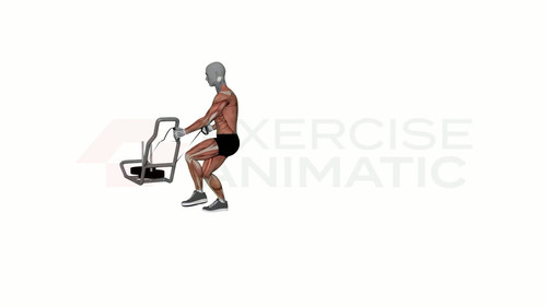 Lateral Sled Drag | Exercise Animatic