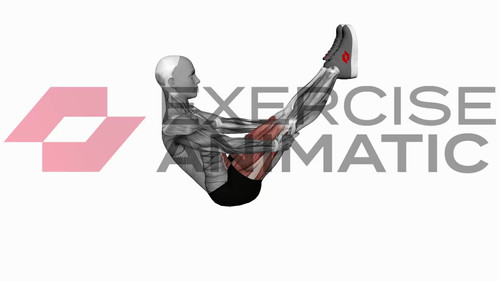 Boat Stretch | Exercise Animatic