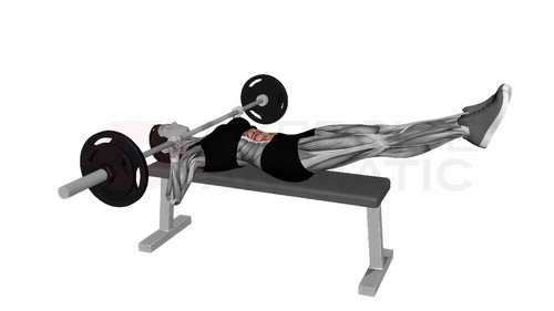 Barbell Larsen Bench Press Female | Exercise Animatic