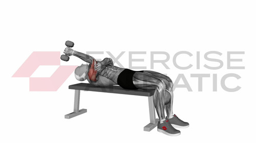 Dumbbell Lying One Arm Neutral Triceps Extension | Exercise Animatic