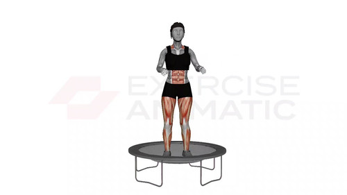 Rebounder Knee Pushes Female | Exercise Animatic