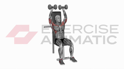Dumbbell Seated Shoulder Press | Exercise Animatic