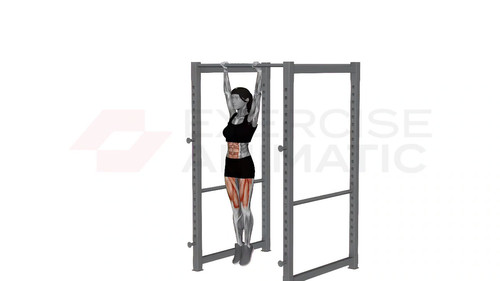 Front Lever Raise Female | Exercise Animatic