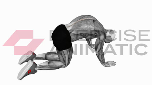 Cat Stretch | Exercise Animatic