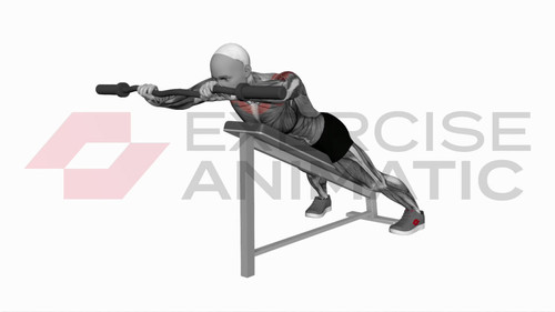 EZ Bar Anti Gravity Press | Exercise Animatic