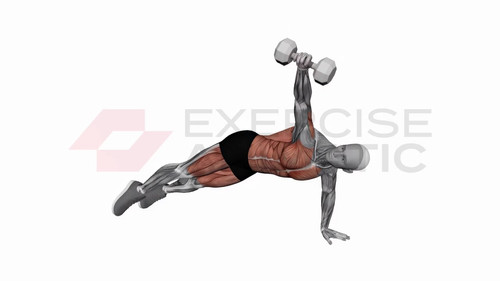 Dumbbell Side Plank with Rear Fly | Exercise Animatic