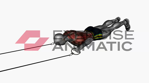 Superman pulls resistance bands | Exercise Animatic