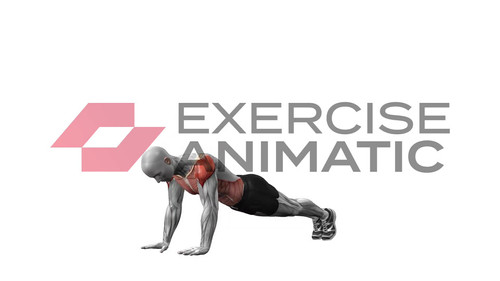 Push up and rotation | Exercise Animatic